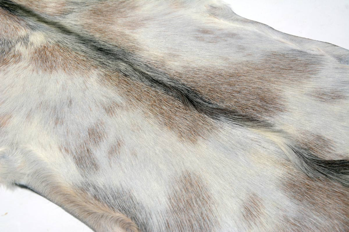 022 Goat Skin Rugs | Beige Goat Rugs NZ | Goat Skin Australia ...