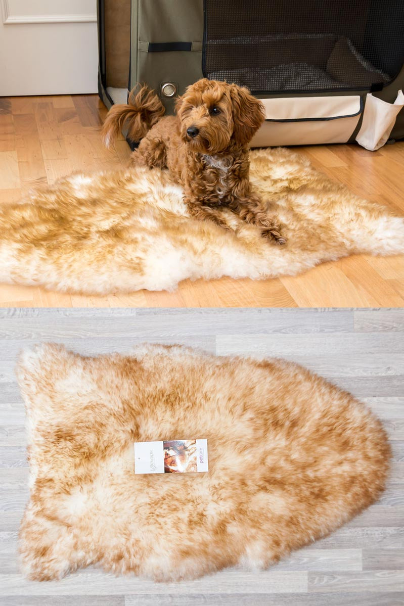 Sheepskin Pet Rugs NZ Cat or Dog Bed — Gorgeous Creatures