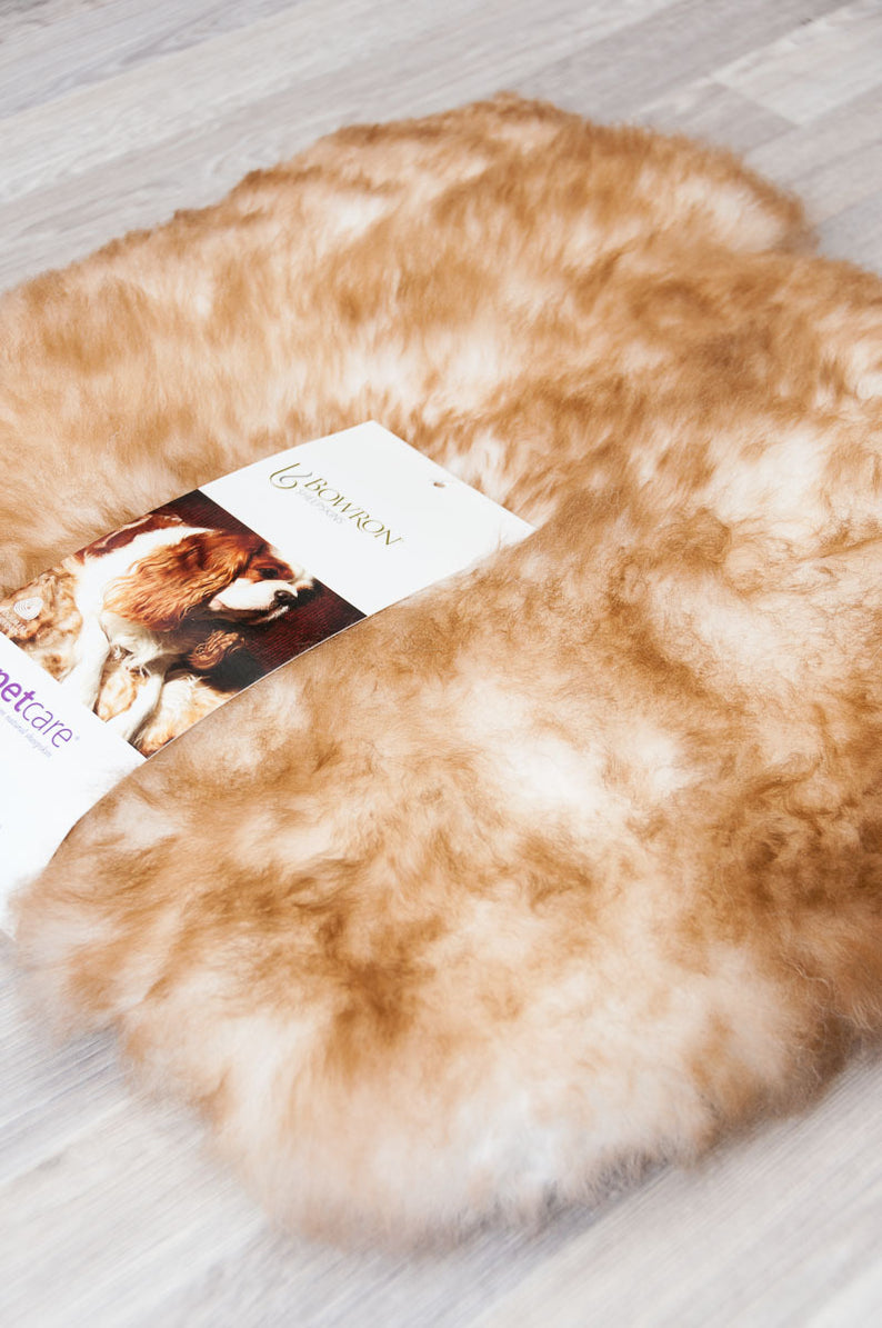 Sheepskin Pet Rugs NZ Cat or Dog Bed — Gorgeous Creatures